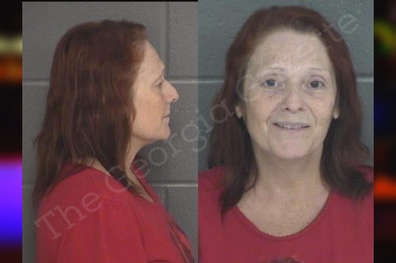 Lisa Bivins — Barrow County Jail Bookings
