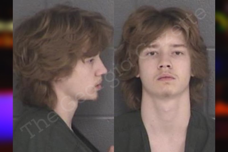 Levi Bryan — Barrow County