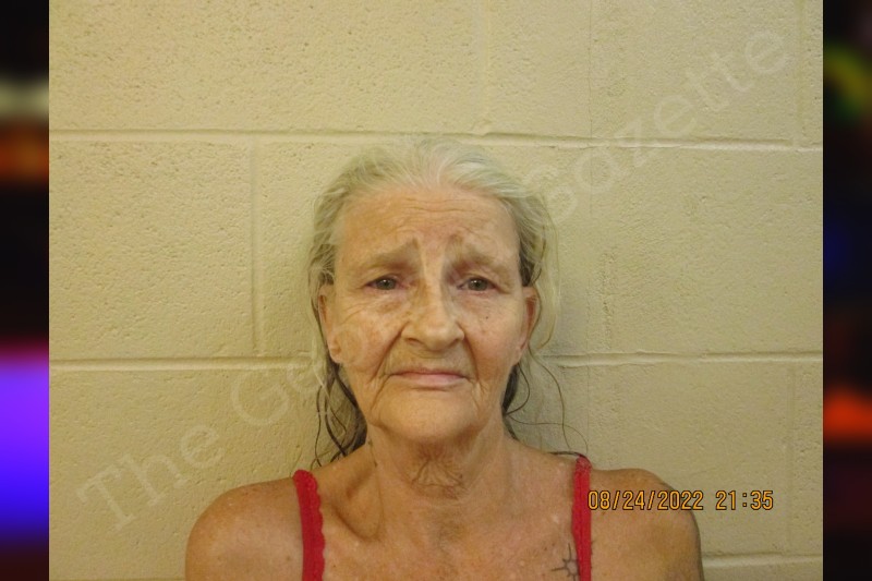 Teresa Buckner — Towns County Jail Bookings