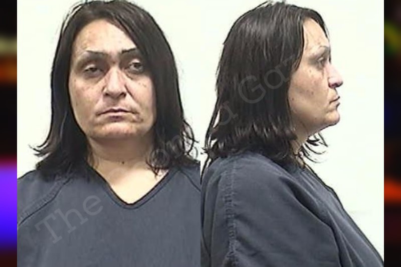 Adriana Castaneda — Clarke County Jail Bookings