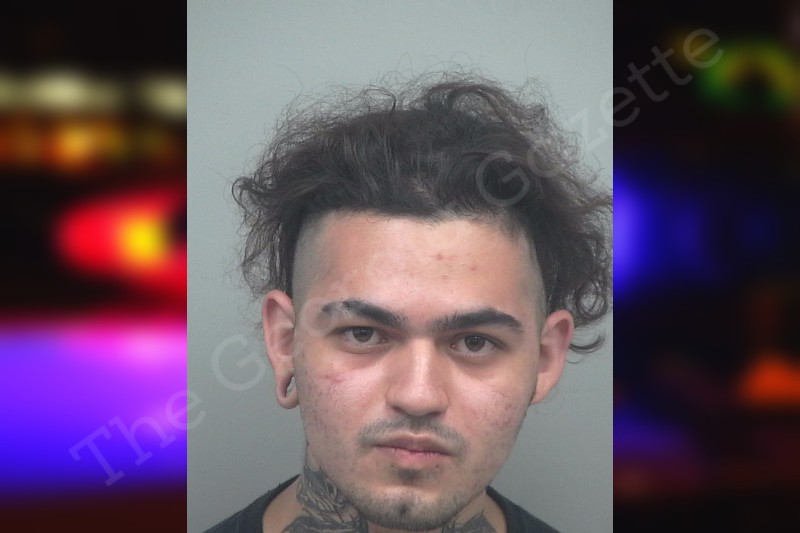 Christopher Castillo Moreno — Gwinnett County Jail Bookings