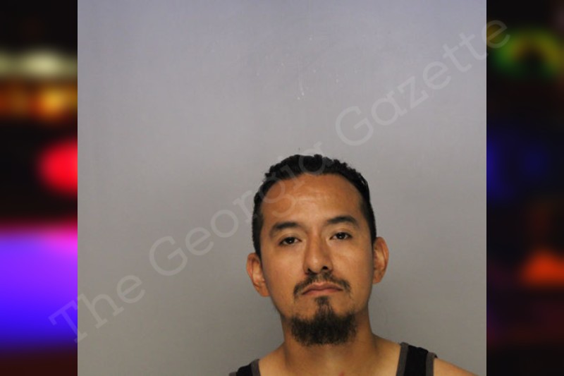 Roger Castillo — Hall County Jail Bookings