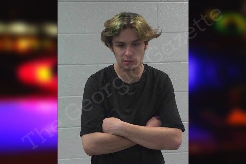 Christopher Chance — Gilmer County Jail Bookings