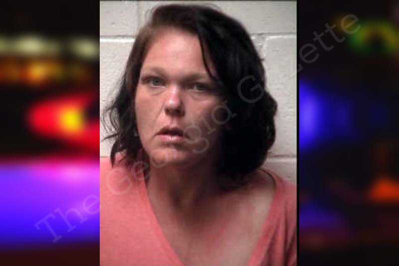 Amanda Chaney — Henry County Jail Bookings