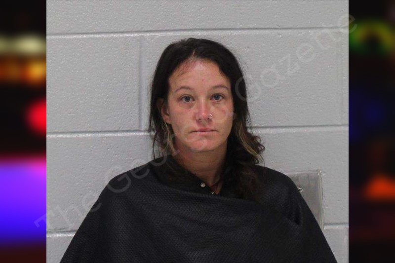 Heather Chappell — Carroll County Jail Bookings