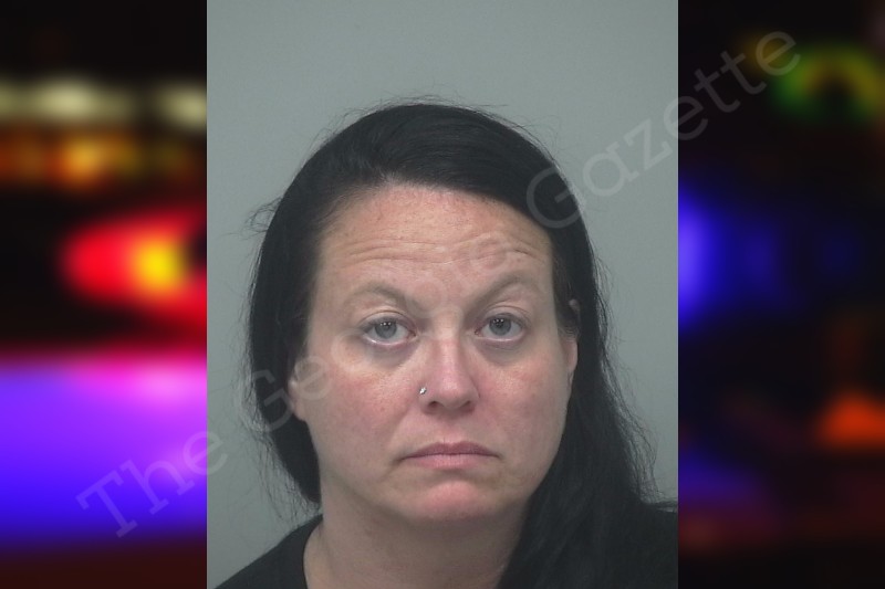 Christina Coats — Gwinnett County Jail Bookings