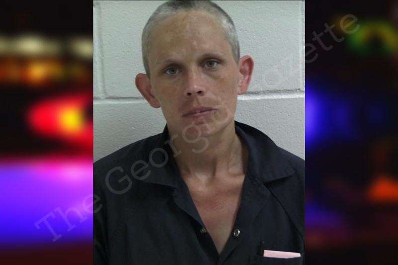 Crystal Colburn — Decatur County Jail Bookings