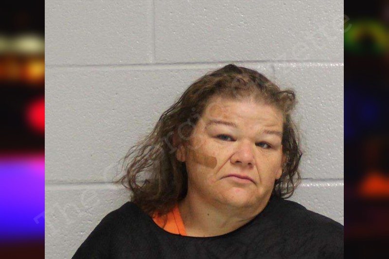 Amy Cook — Carroll County Jail Bookings