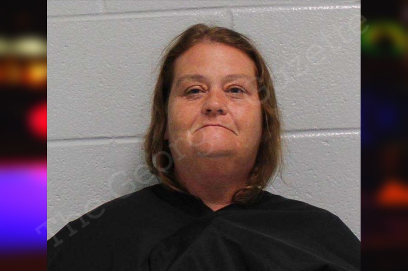 Victoria Cook — Carroll County Jail Bookings