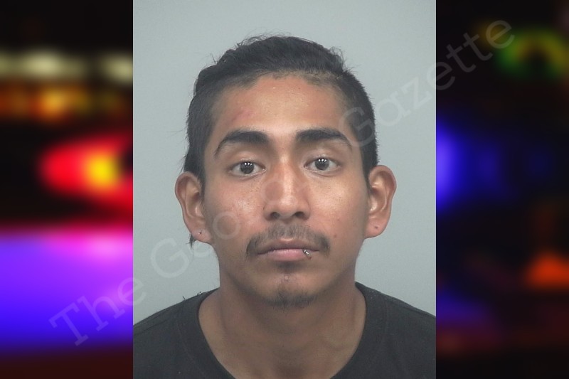 Daniel Cotino — Gwinnett County Jail Bookings