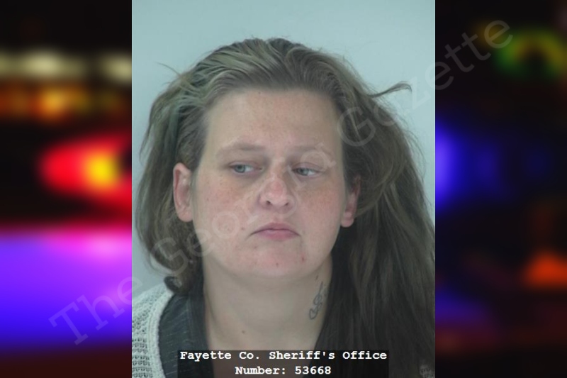 Heidi Carter — Fayette County Jail Bookings
