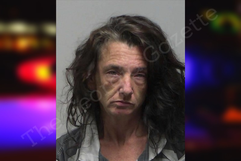 Jennifer Carter | Tift County Jail Bookings