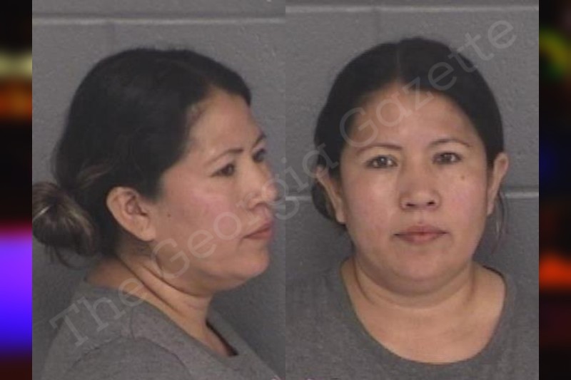 Edith Castrejon- Espino — Barrow County Jail Bookings