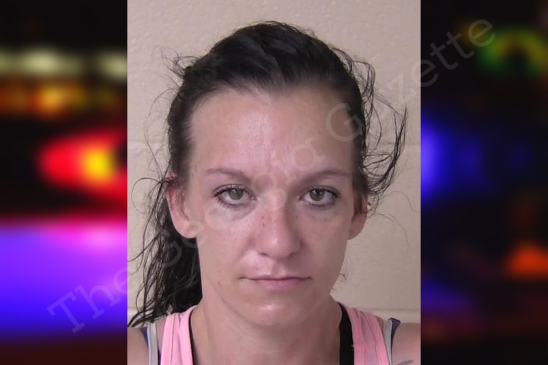 Sky Clark — Walker County Jail Bookings