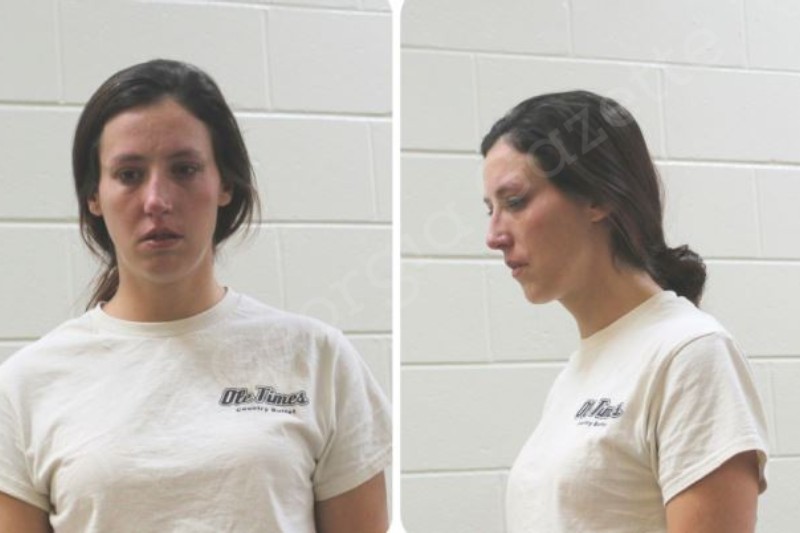 Angelica Conley — Houston County Jail Bookings