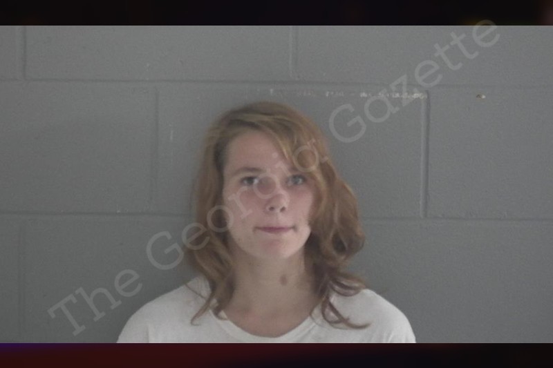 Elizabeth Cothren — Brantley County Jail Bookings
