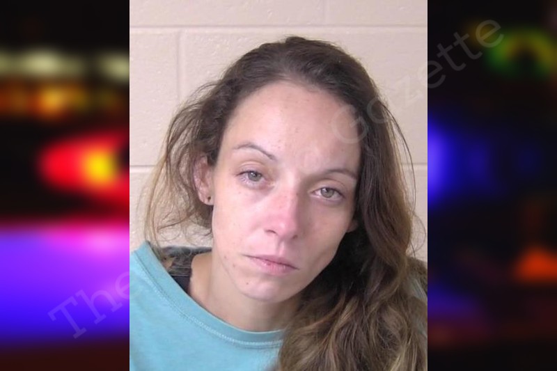 Jessica Cox — Walker County Jail Bookings