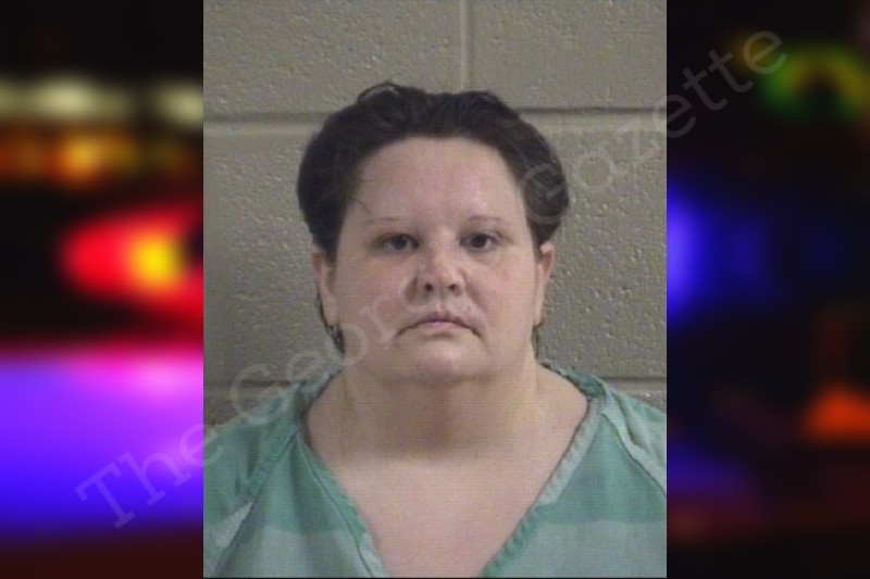 Crystal Ramirez — Whitfield County