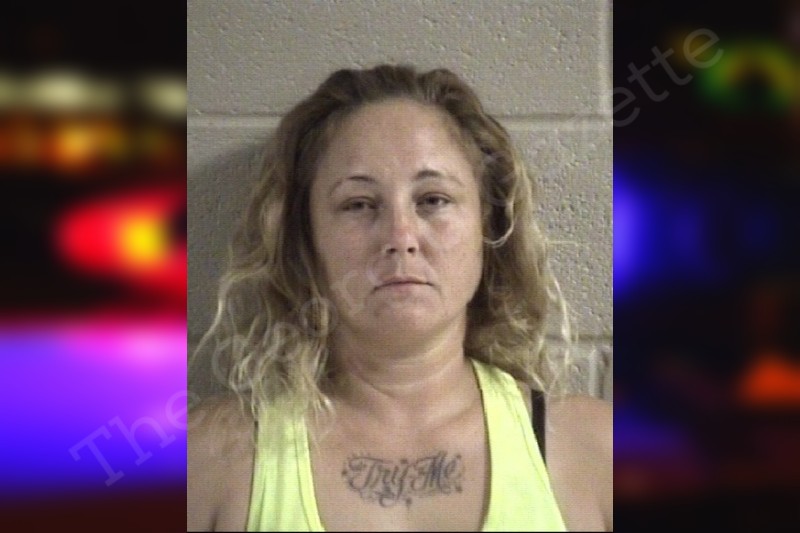 Crystal Sandoval — Whitfield County Jail Bookings