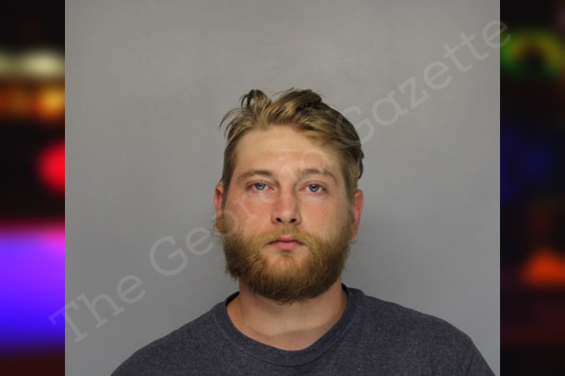 Bretton Davidson — Hall County Jail Bookings