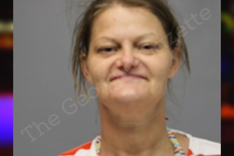 Erica Dean — Hall County Jail Bookings