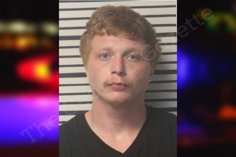 Thomas Drew — Toombs County Jail Bookings