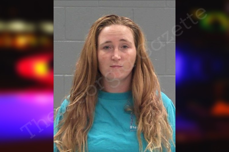 Jessica Driggers — Baldwin County Jail Bookings