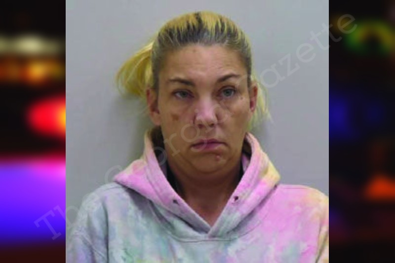 Michelle Davis — Bartow County Jail Bookings