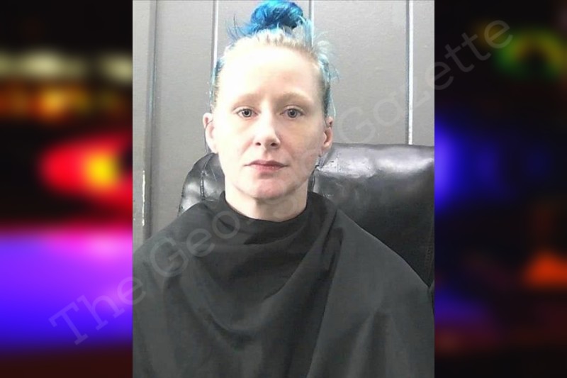 Nicole Davis — Hart County Jail Bookings