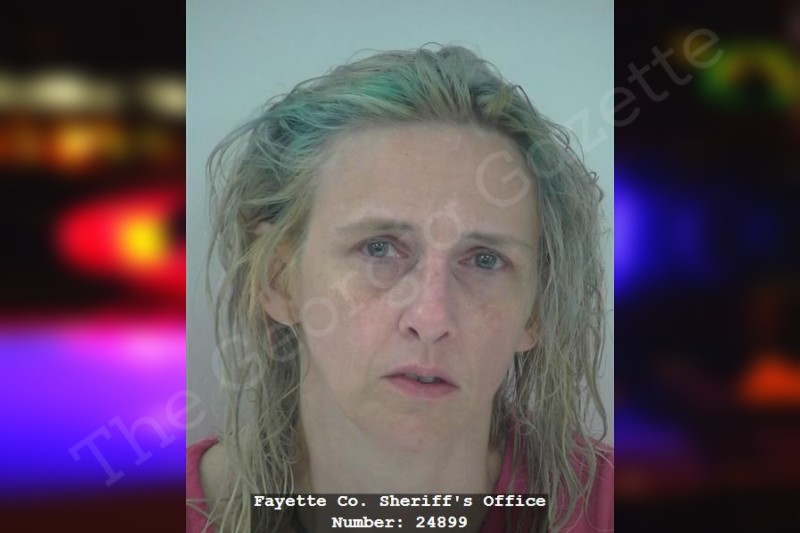 Paula Downey — Fayette County Jail Bookings