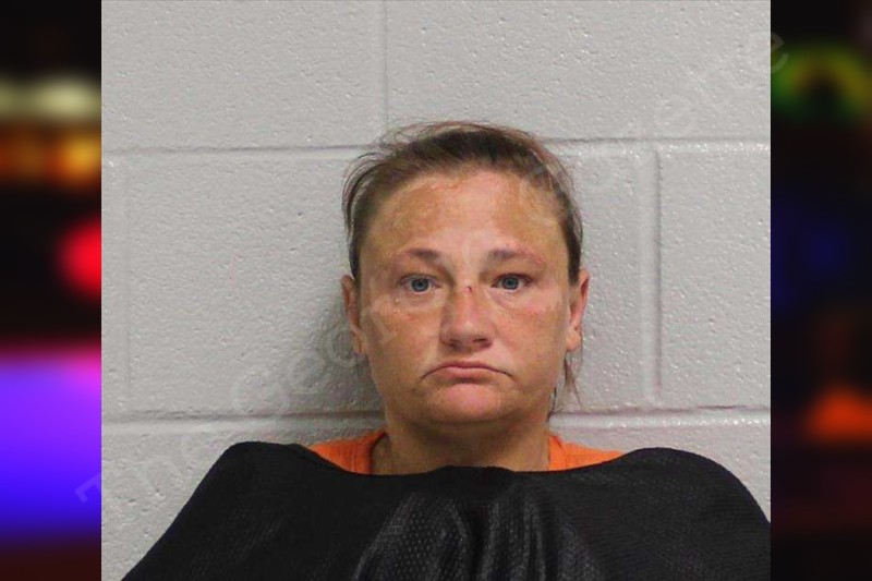 Crystal Ellard — Carroll County Jail Bookings