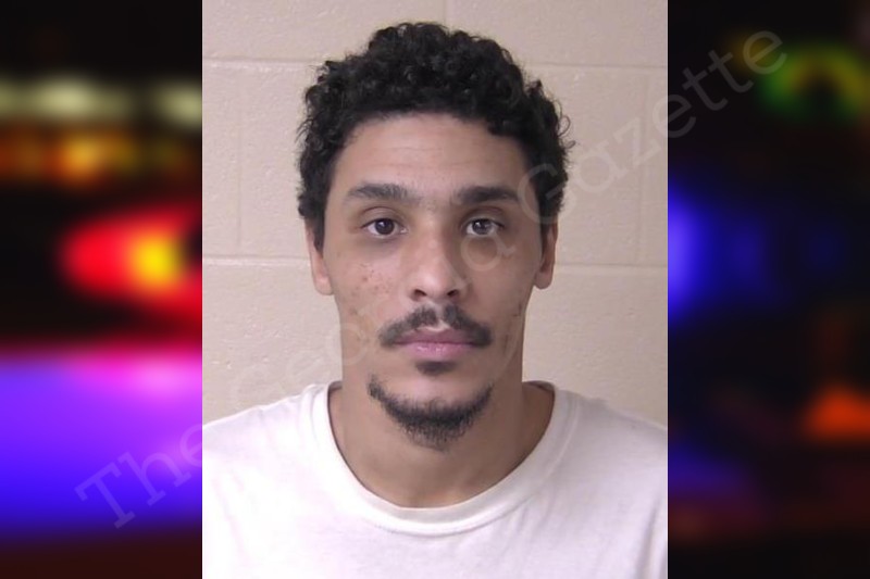 Fred Ellison — Walker County Jail Bookings