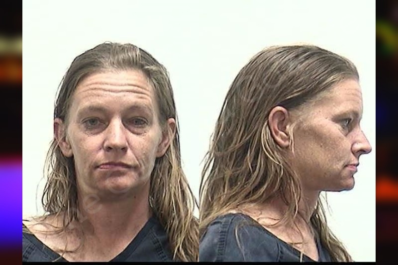 Katrina Fleming — Clarke County Jail Bookings