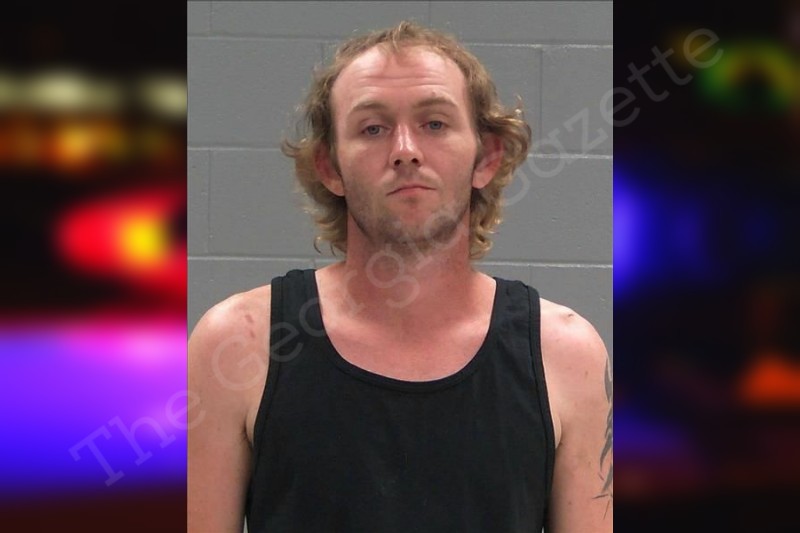 Brandon Ford — Baldwin County Jail Bookings