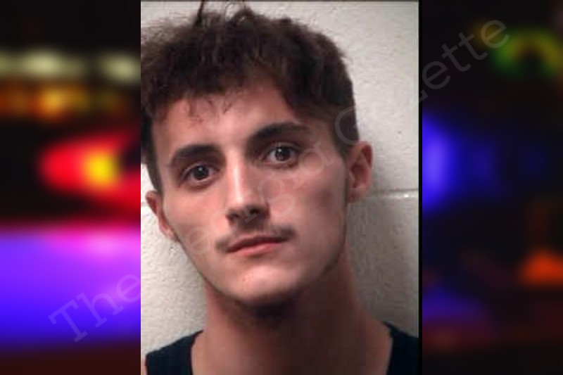 Landon French — Henry County Jail Bookings