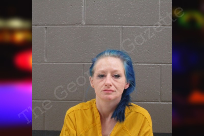 Nicole Davis — Banks County Jail Bookings