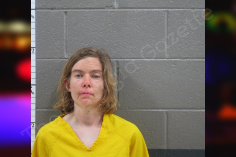 Emily Rice — Banks County Jail Bookings