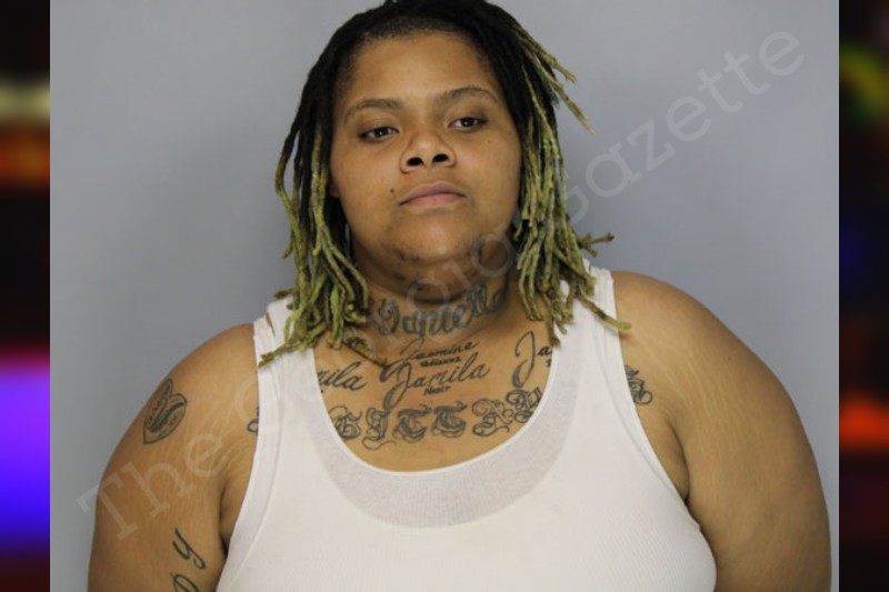 Sherelle Gaddy — Hall County Jail Bookings