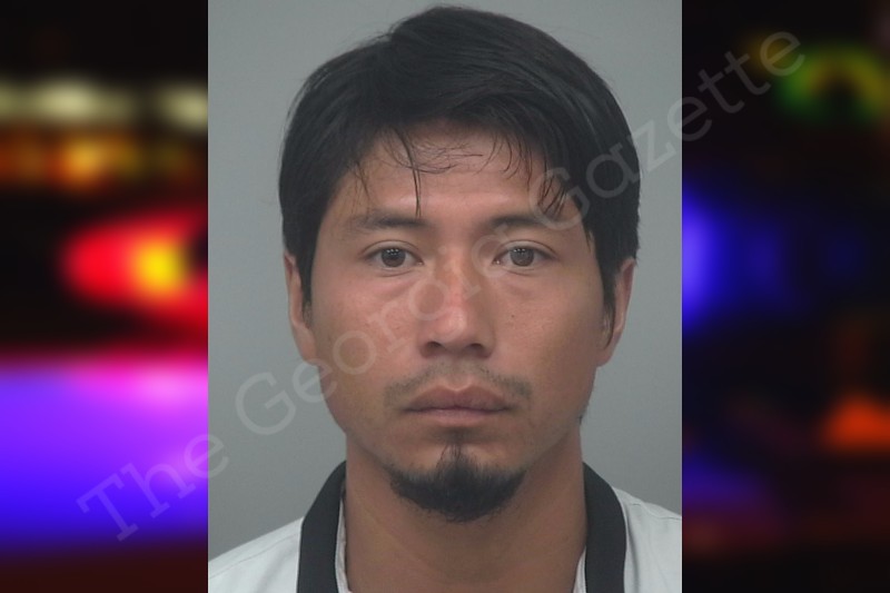 Hilton Garcia Castro — Gwinnett County Jail Bookings