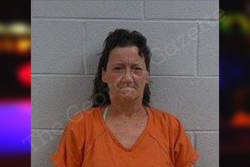 Sandra Garner — Polk County Jail Bookings