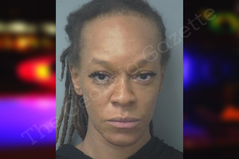 Michelle George — Gwinnett County Jail Bookings