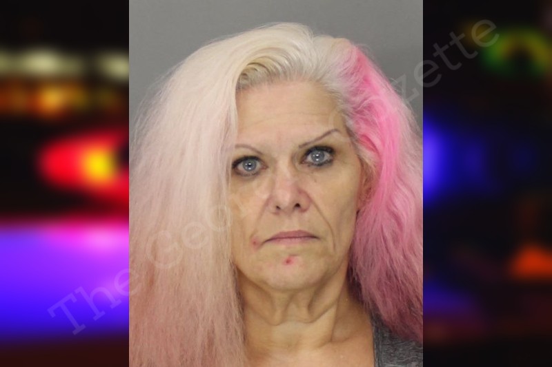 Sherry Gonzalez — Cobb County