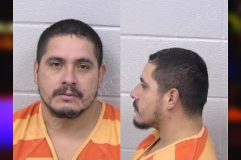 Jose Gallardo — Paulding County Jail Bookings