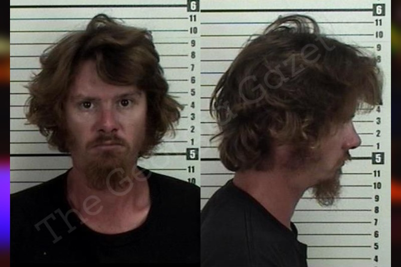 Michael Gantz — Camden County Jail Bookings