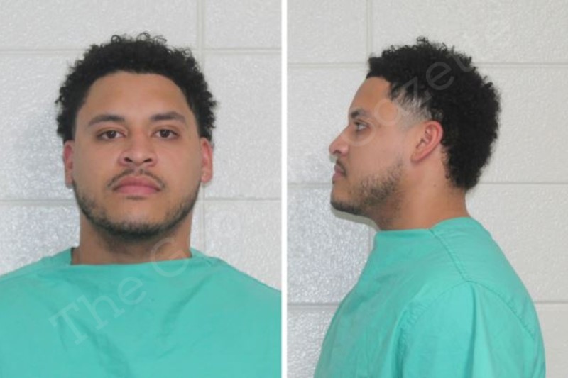 Michael Garner Houston County Jail Bookings