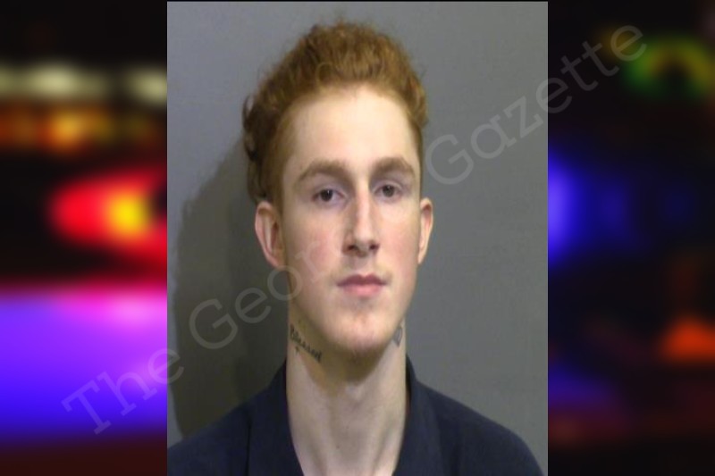 Ethan Gennaro — Glynn County Jail Bookings