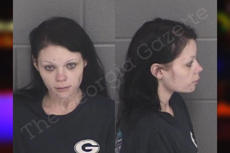 Courtney Goodwin — Barrow County Jail Bookings