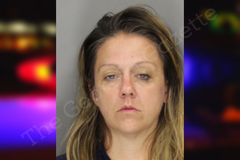 Heather Hamrick — Cobb County Jail Bookings