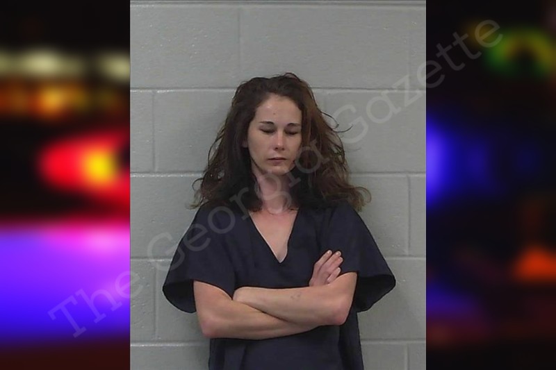 Mary Hancock — Gilmer County Jail Bookings