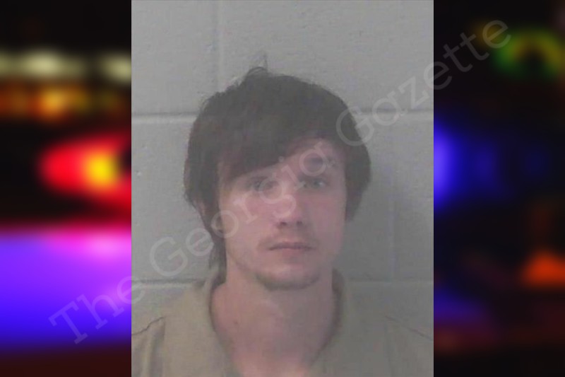 Andrew Hendry — Newton County Jail Bookings